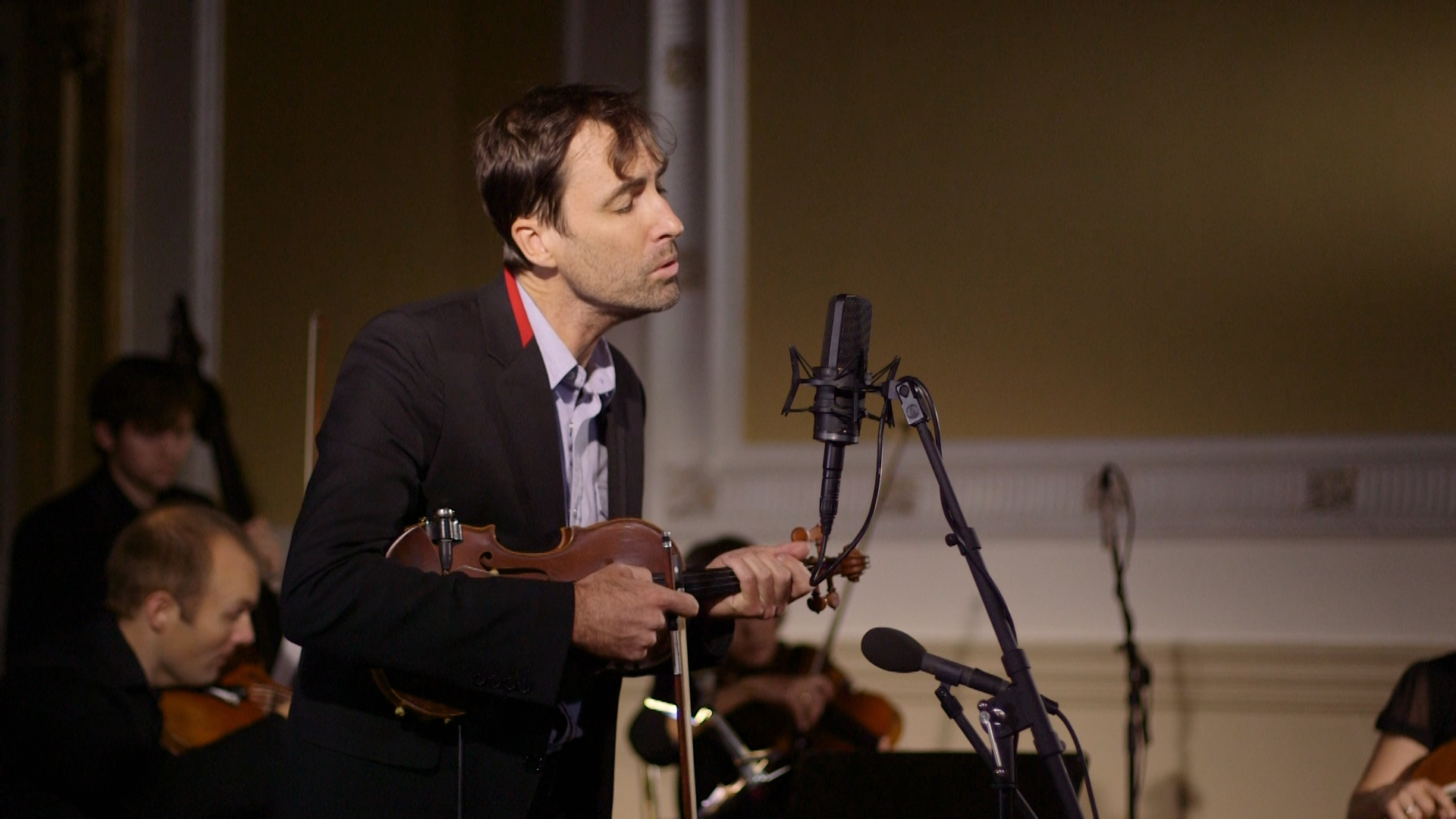Andrew Bird Performs "Roma Fade" - Articulate with Jim Cotter